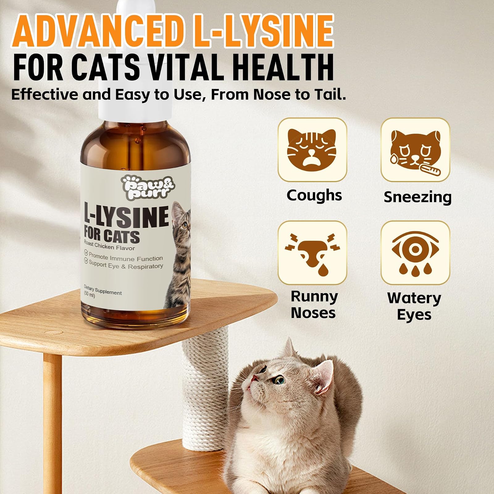 immune support l-lysine supplement