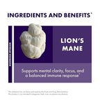 immune support lion's mane extract