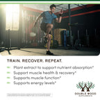 immune support multivitamin capsules