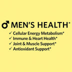 immune support multivitamin tablets