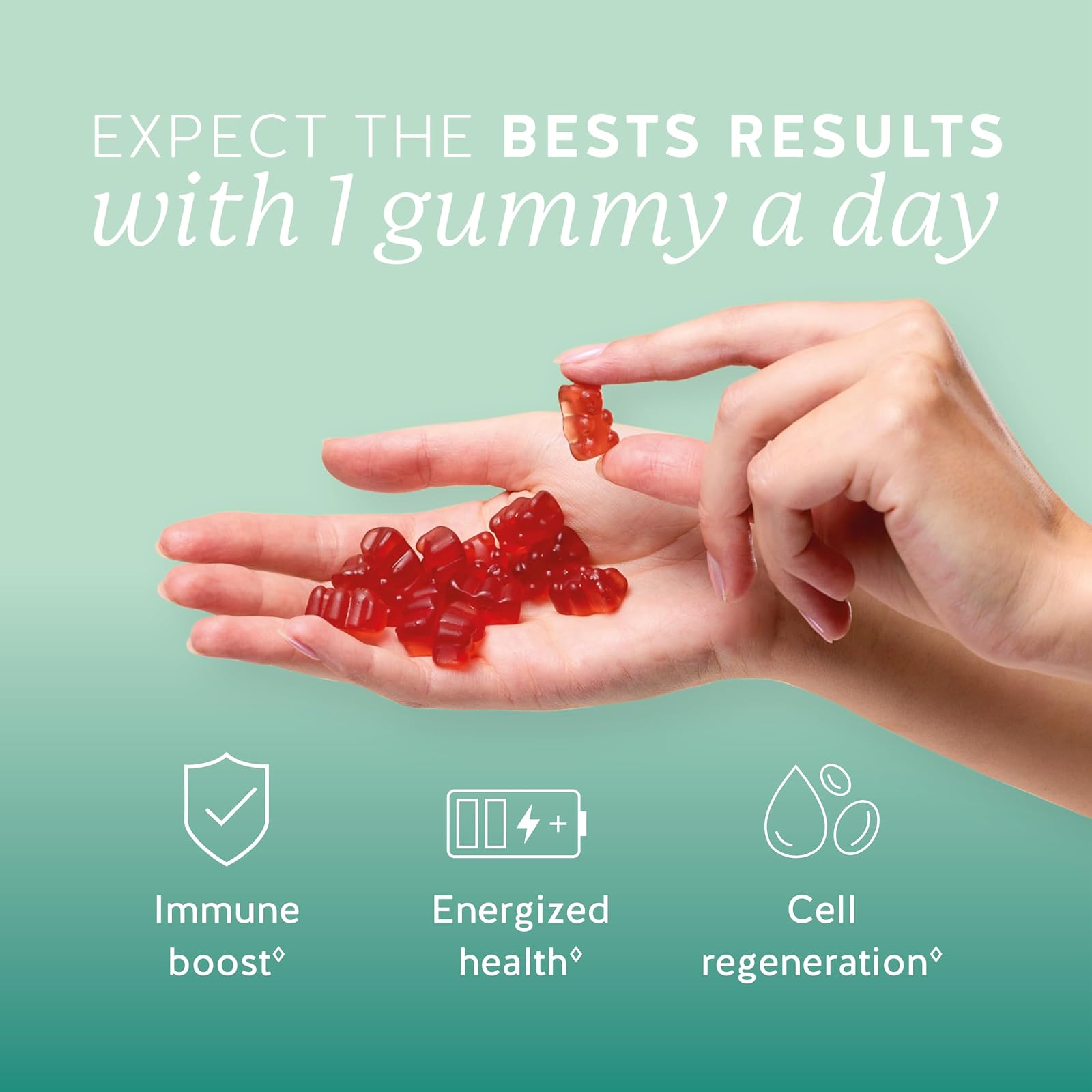 immune support multivitamins for adults