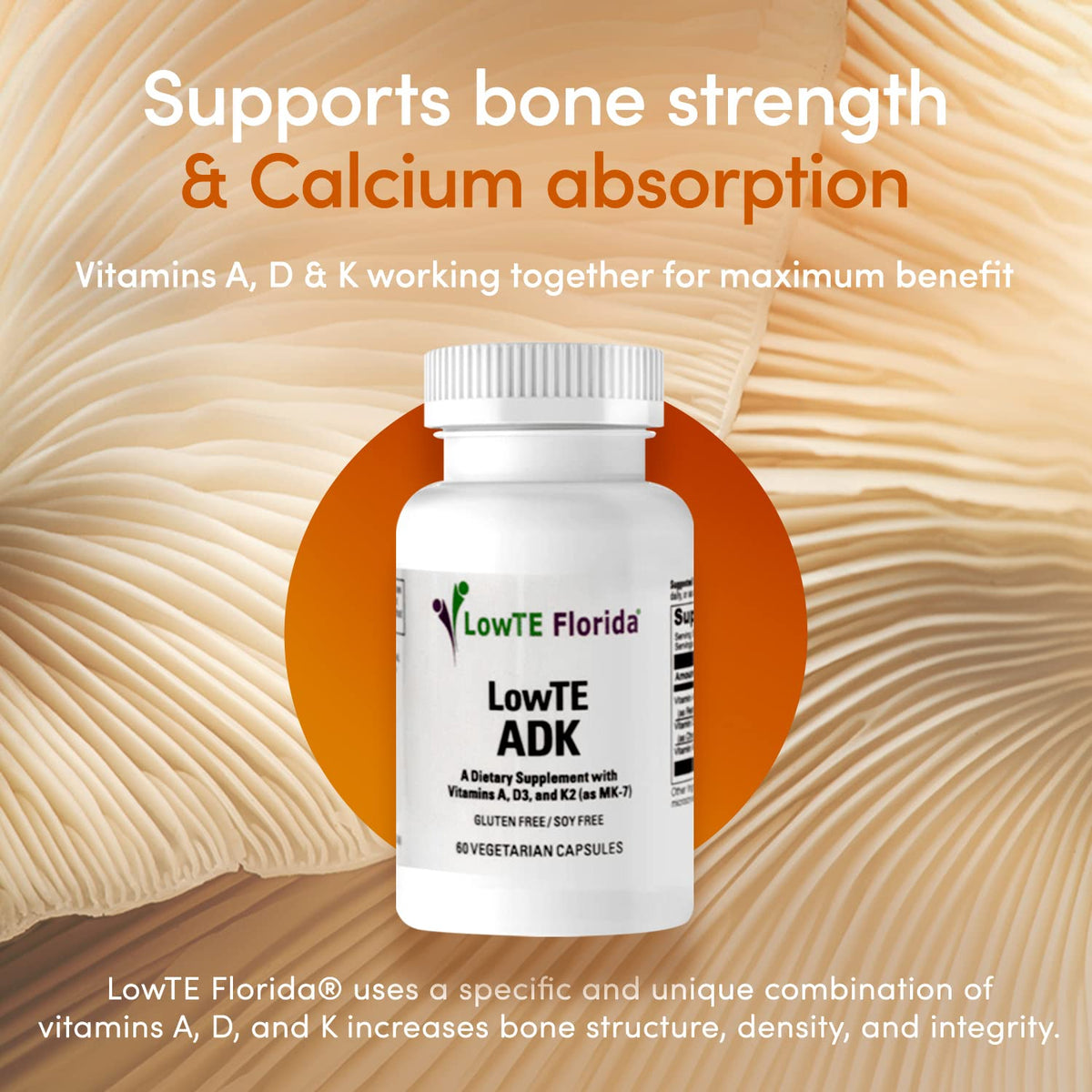 immune support multivitamins for adults
