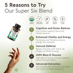 immune support mushroom blend capsules