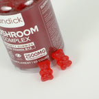 immune support mushroom blend