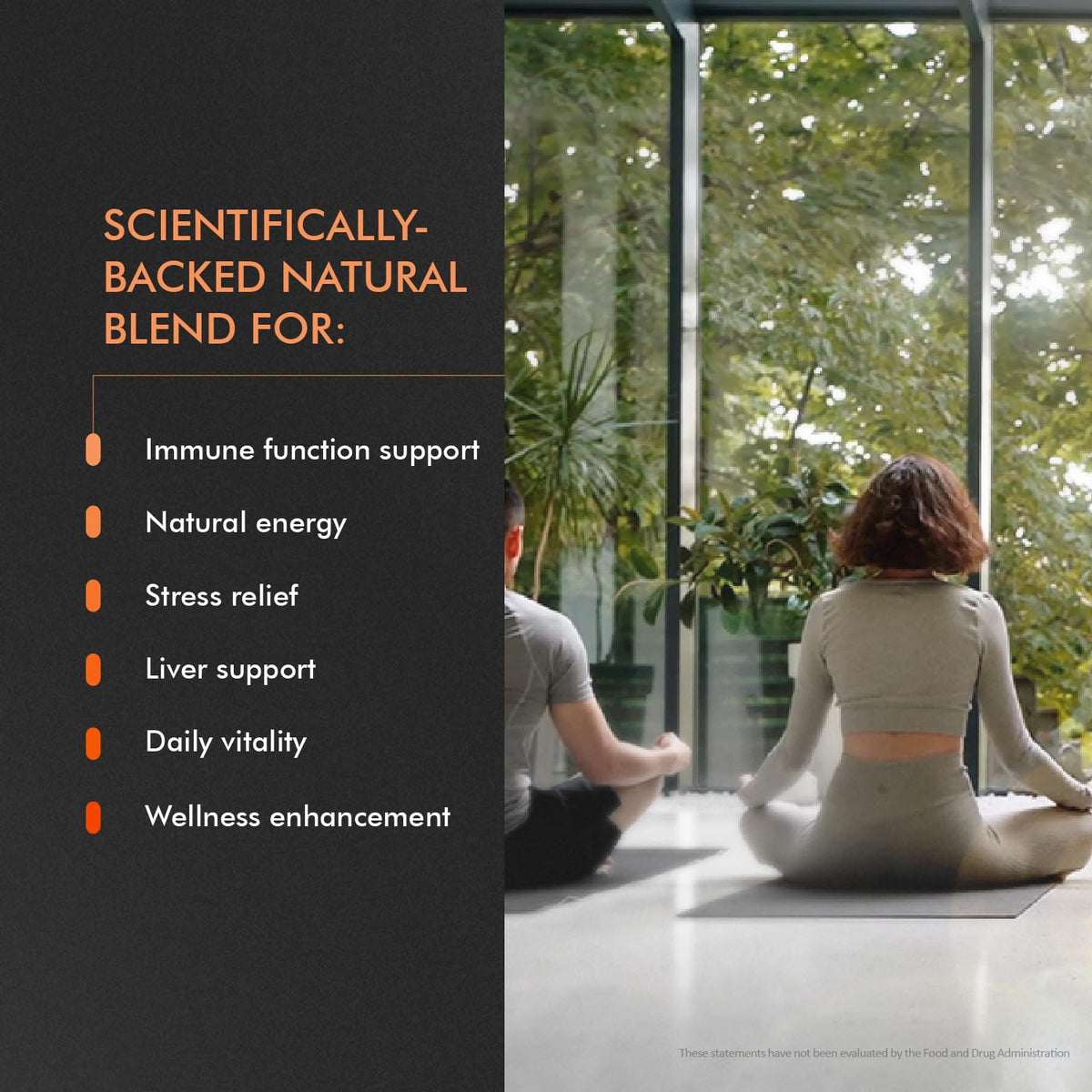 immune support mushroom capsules