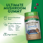 immune support mushroom complex gummies