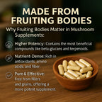 immune support mushroom complex