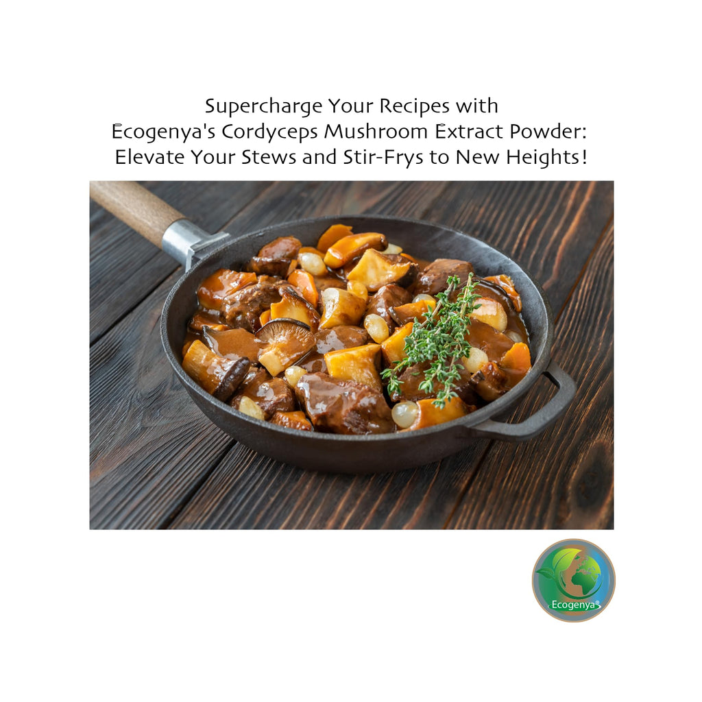 Immune support mushroom extract