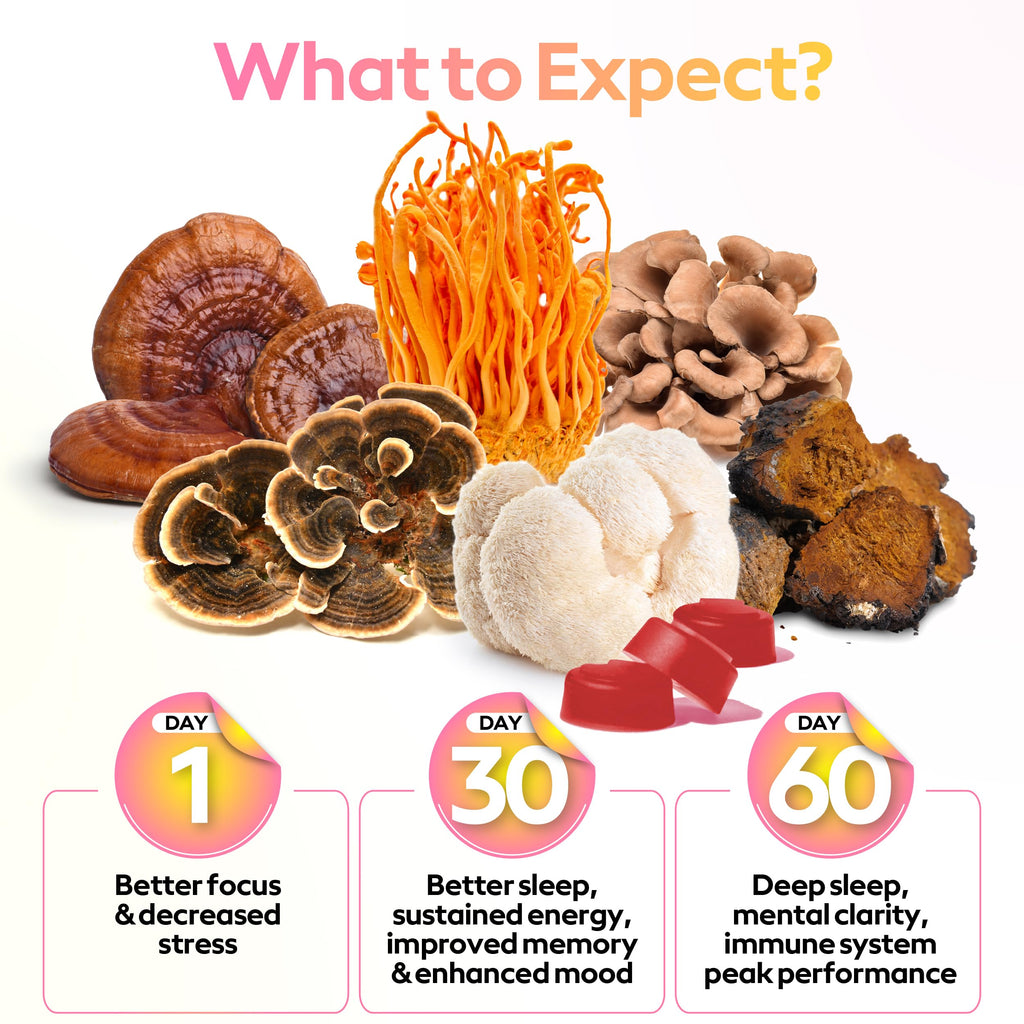 immune support mushroom gummies Canada