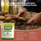 immune support mushroom gummies for wellness