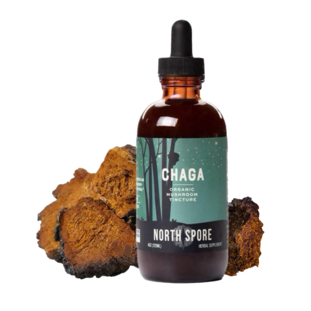 immune support mushroom liquid supplement