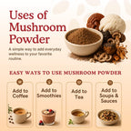 immune support mushroom supplement powder