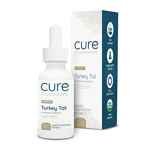 immune support mushroom supplement