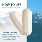 immune support mushroom supplement