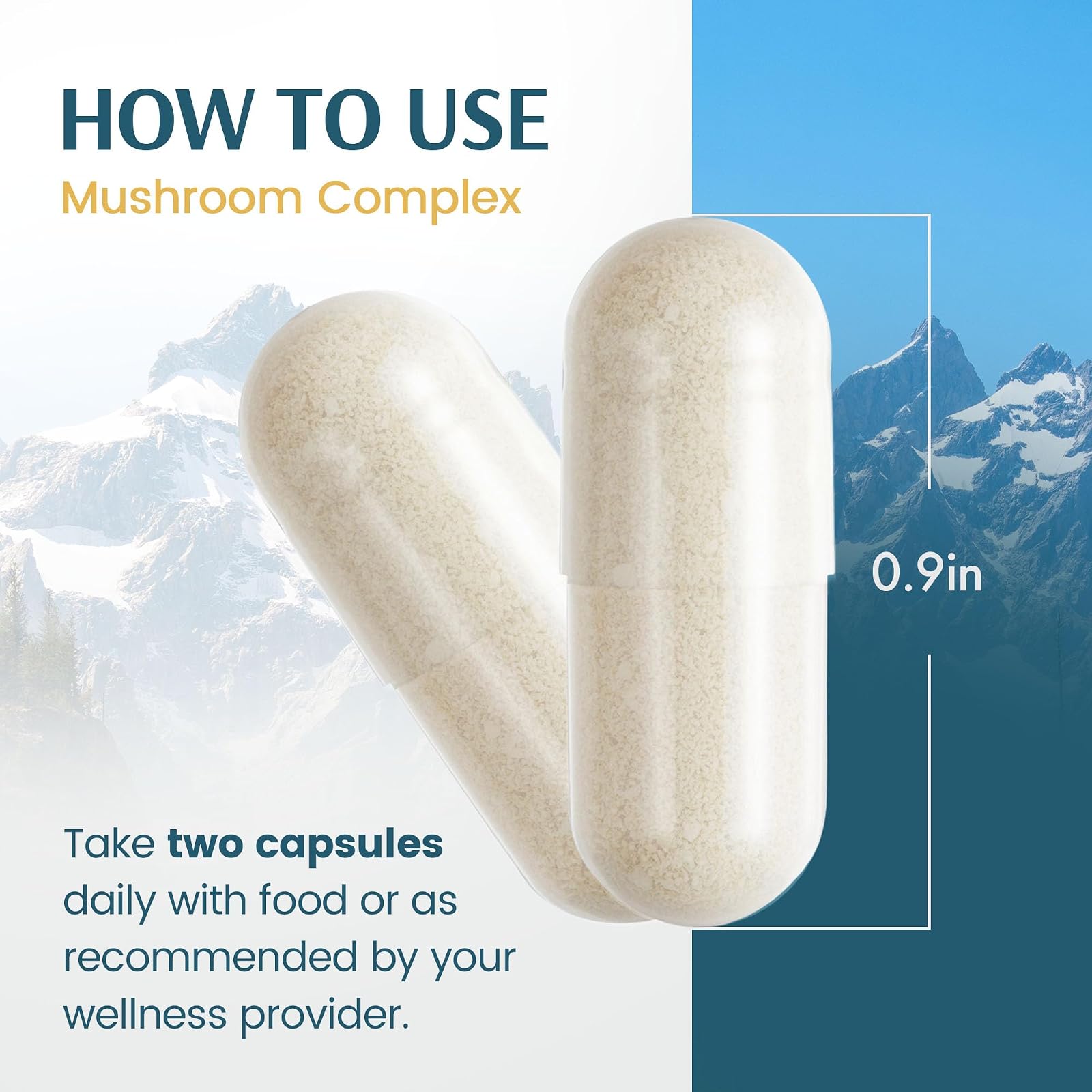 immune support mushroom supplement