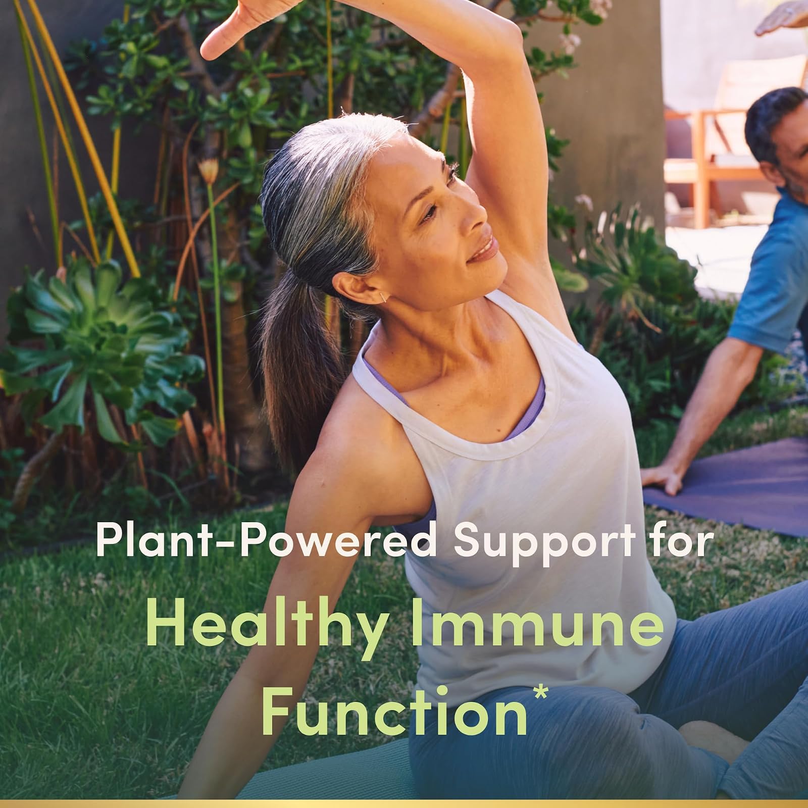 immune support mushroom supplement