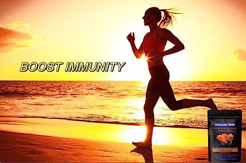immune support mushroom supplement