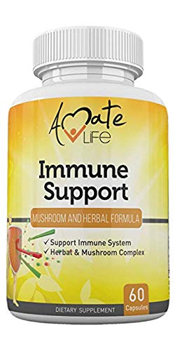 immune support mushroom supplement