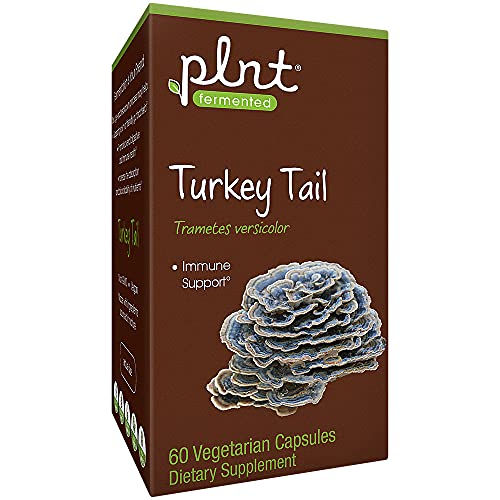 Immune support mushroom supplement