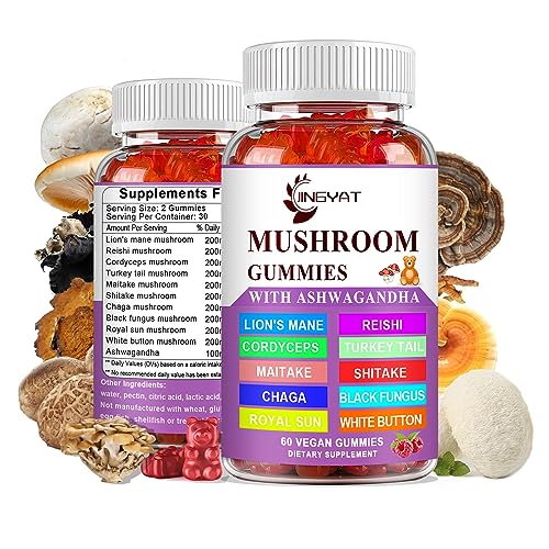immune support mushroom supplement
