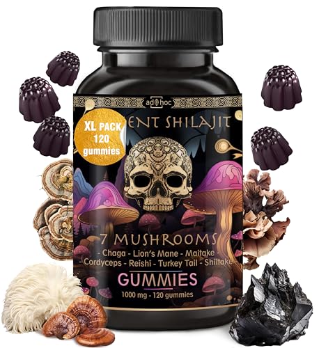 immune support mushroom supplements