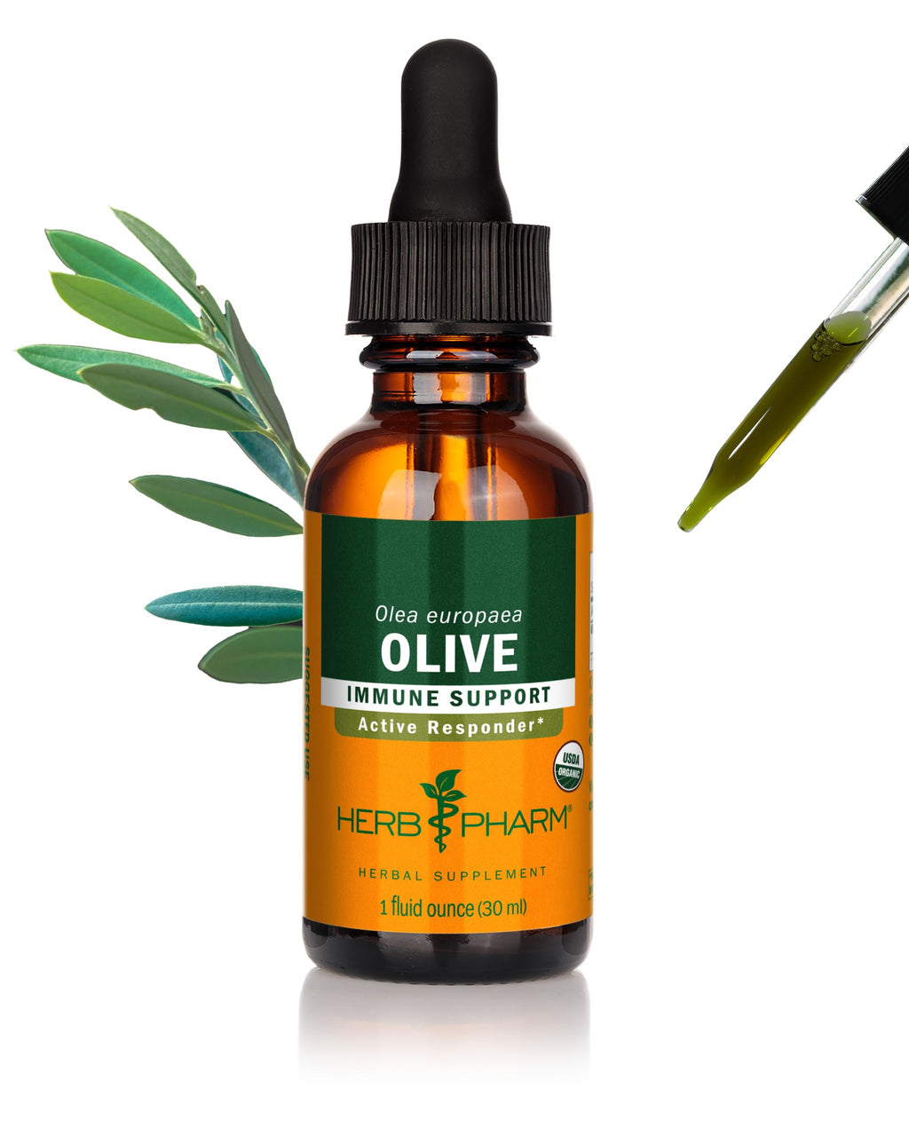 immune support olive leaf benefits