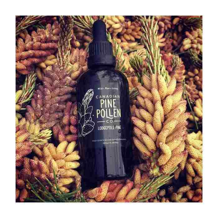 immune support pine pollen extract