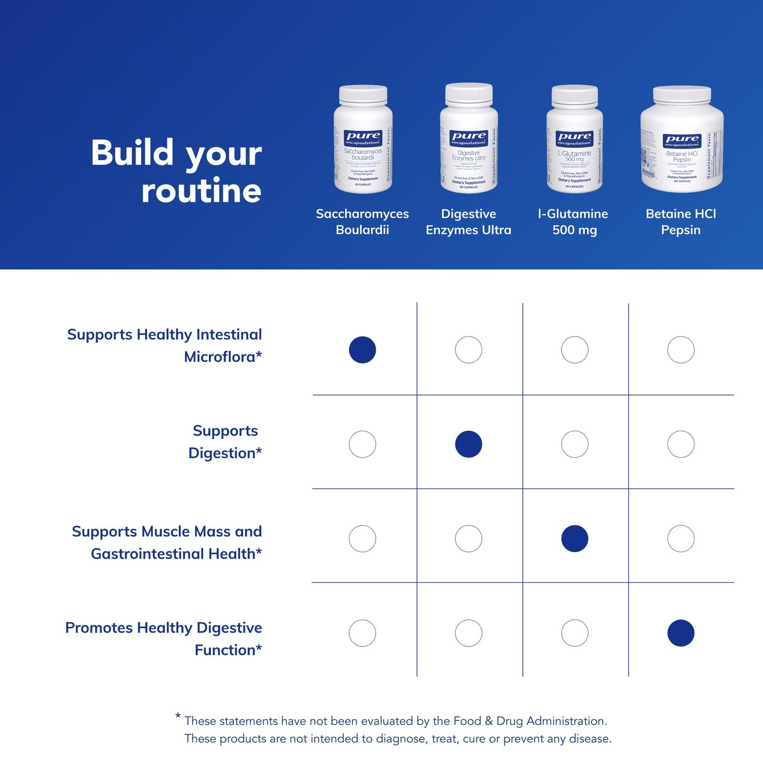 immune support probiotics for daily use