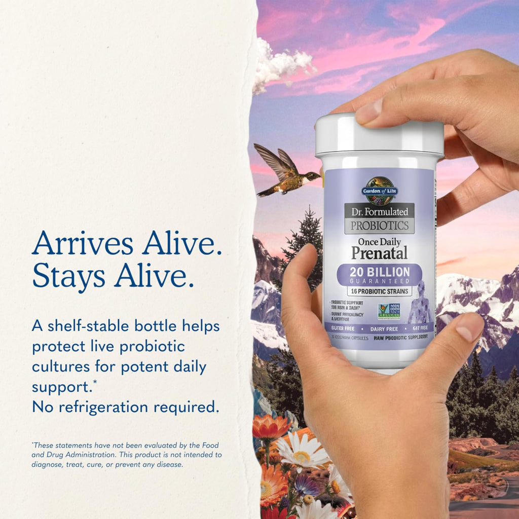 immune support probiotics for pregnancy