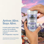 immune support probiotics for pregnancy