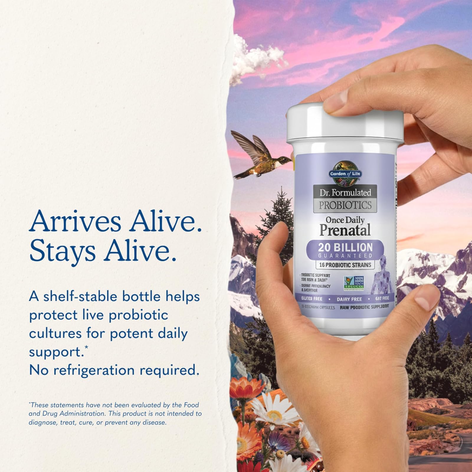 immune support probiotics for pregnancy