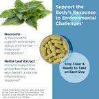 immune support quercetin nettle