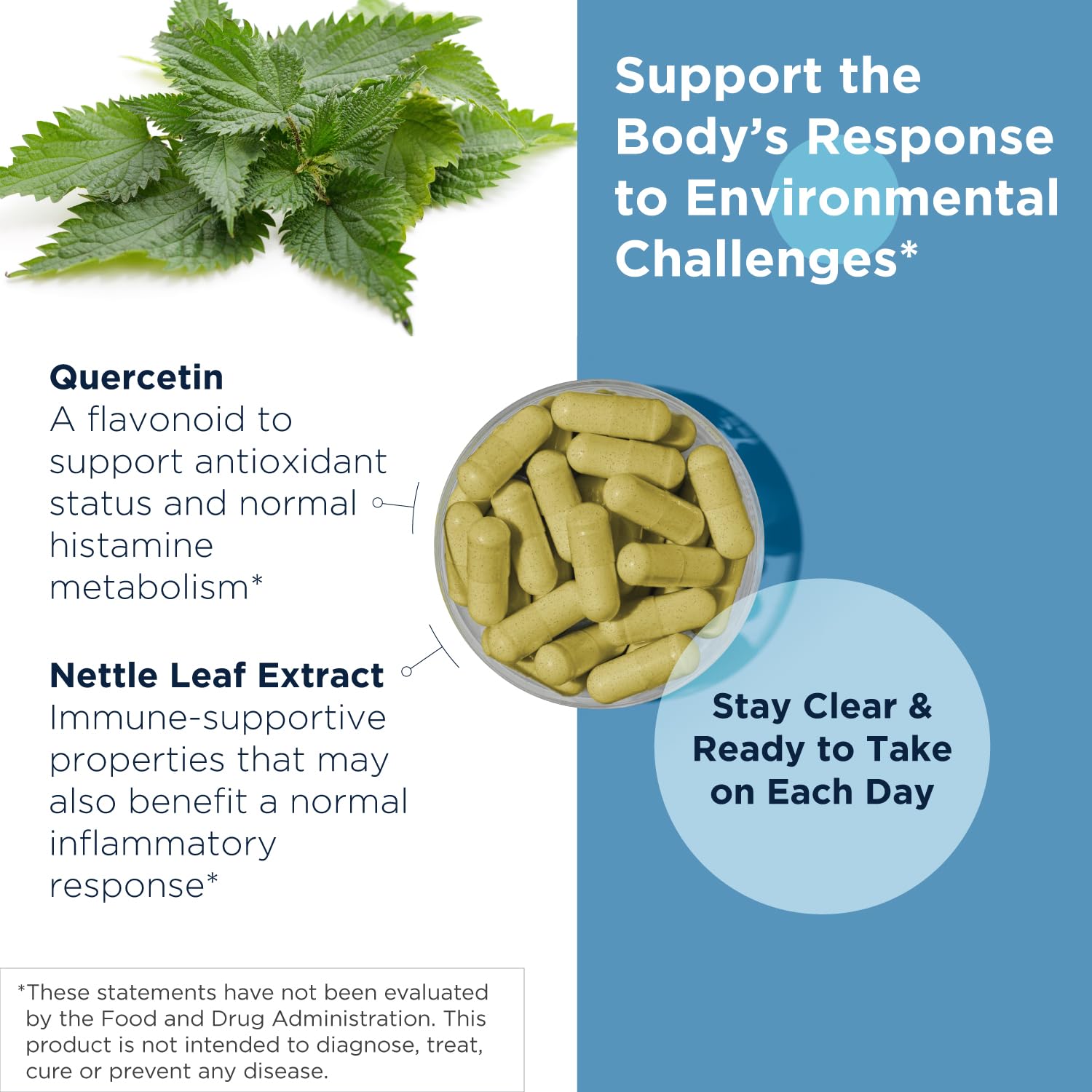 immune support quercetin nettle