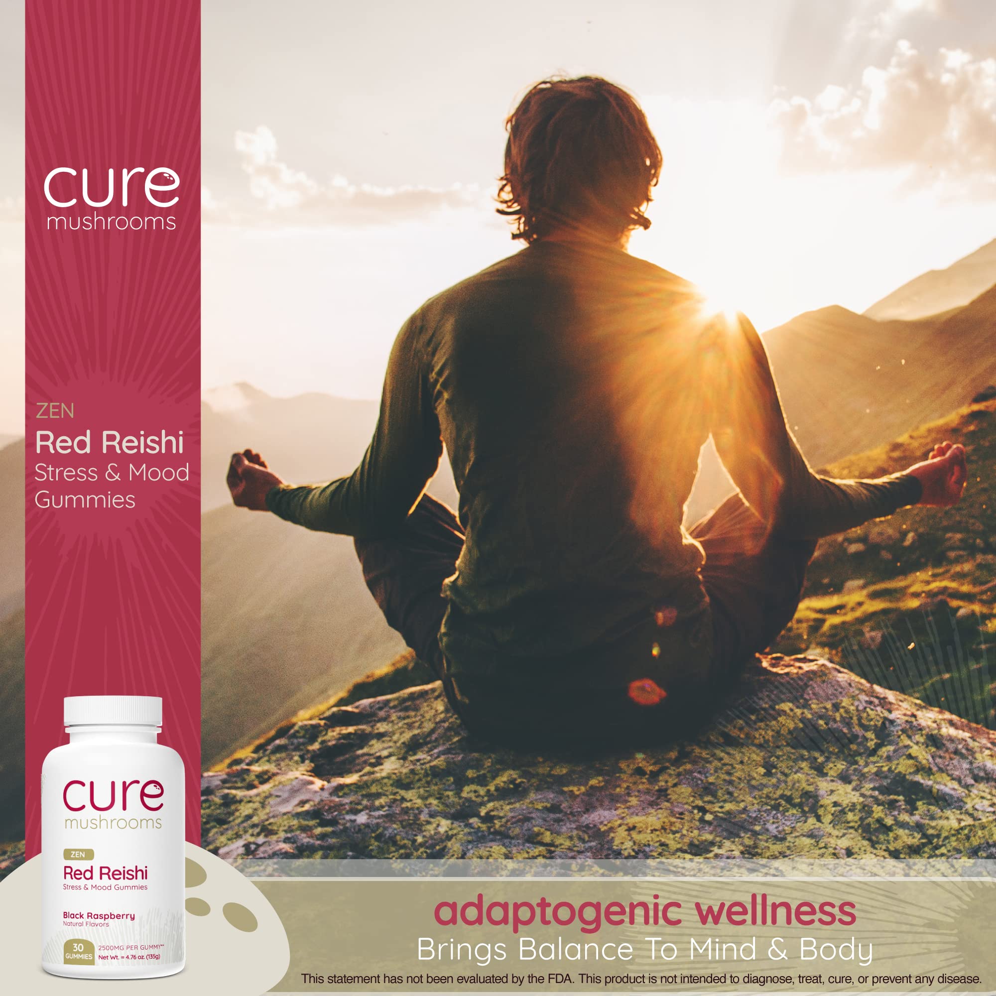 immune support red reishi gummies