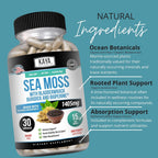 Immune support sea moss capsules