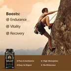 immune support shilajit extract