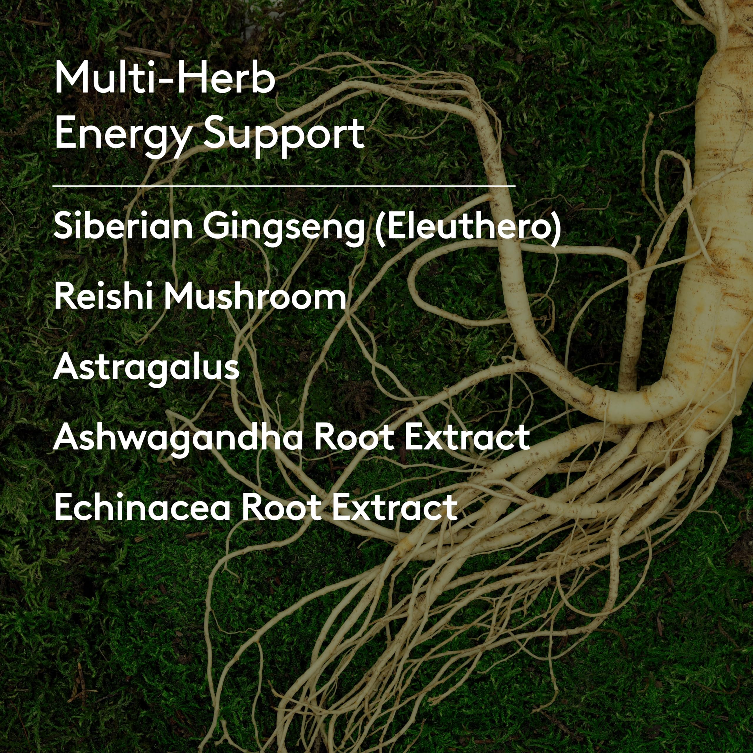 immune support syrup with ginseng