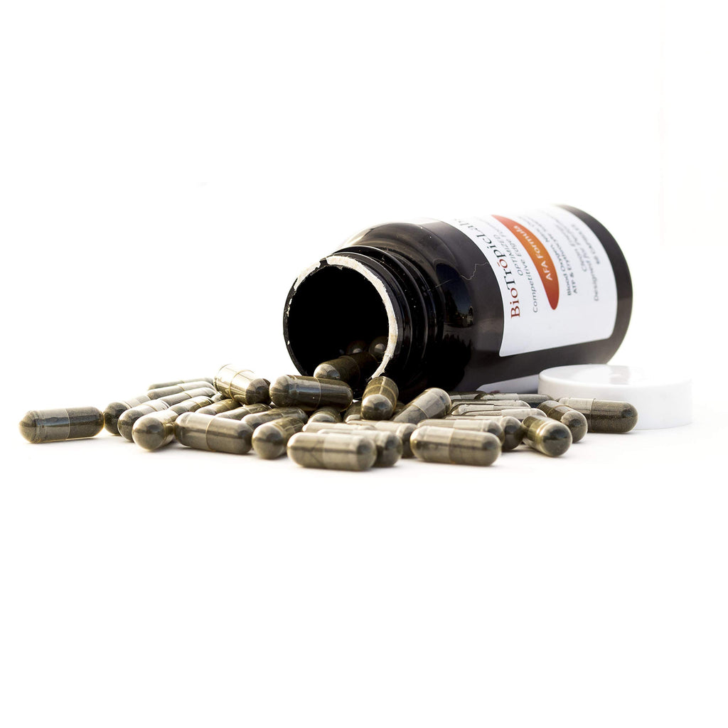 immune support through blended nutrients