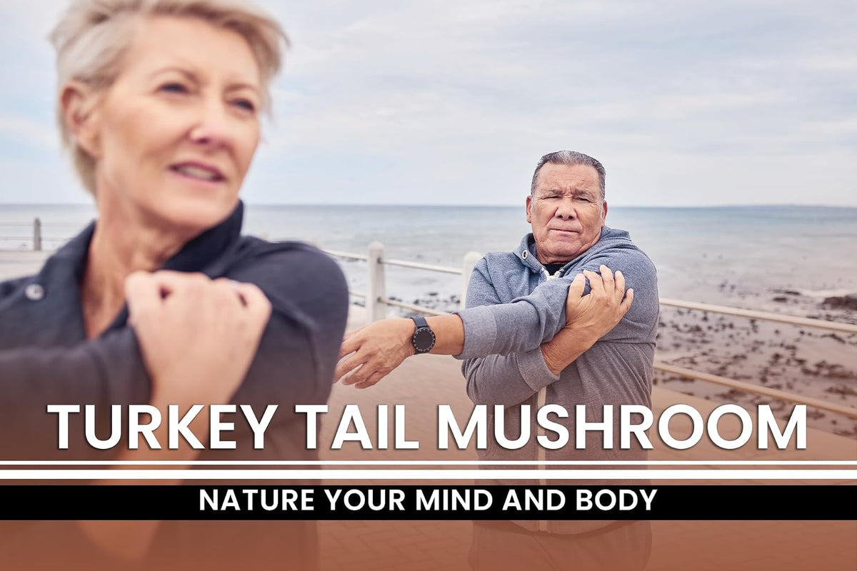 Immune support Turkey Tail Mushroom