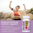 immune support turkey tail mushrooms