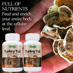 immune support turkey tail supplement