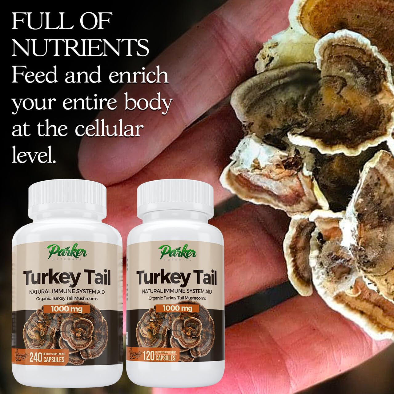 immune support turkey tail supplement
