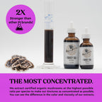 immune support turkey tail tincture