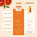 Immune support turmeric curcumin drink