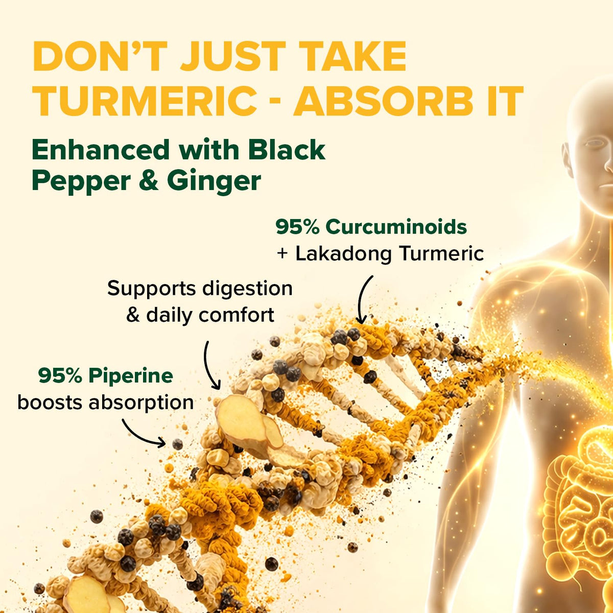 immune support turmeric curcumin