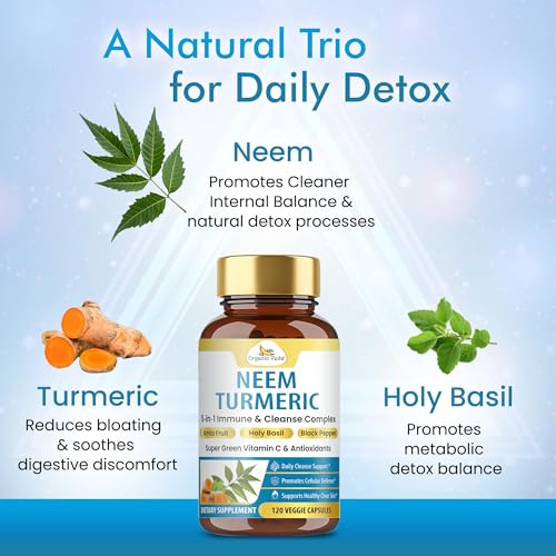 immune support turmeric herbal supplement