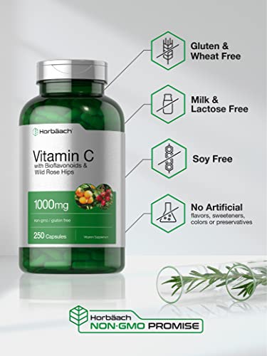 immune support vitamin C capsules