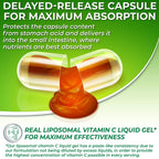 immune support vitamin c supplement