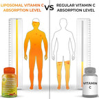 immune support vitamin c supplement