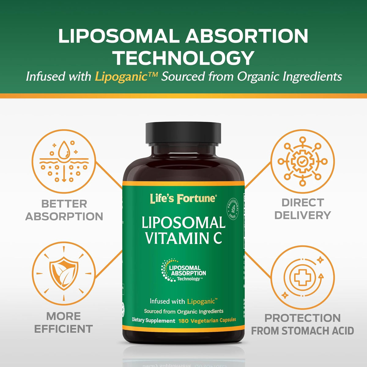 immune support vitamin c supplement